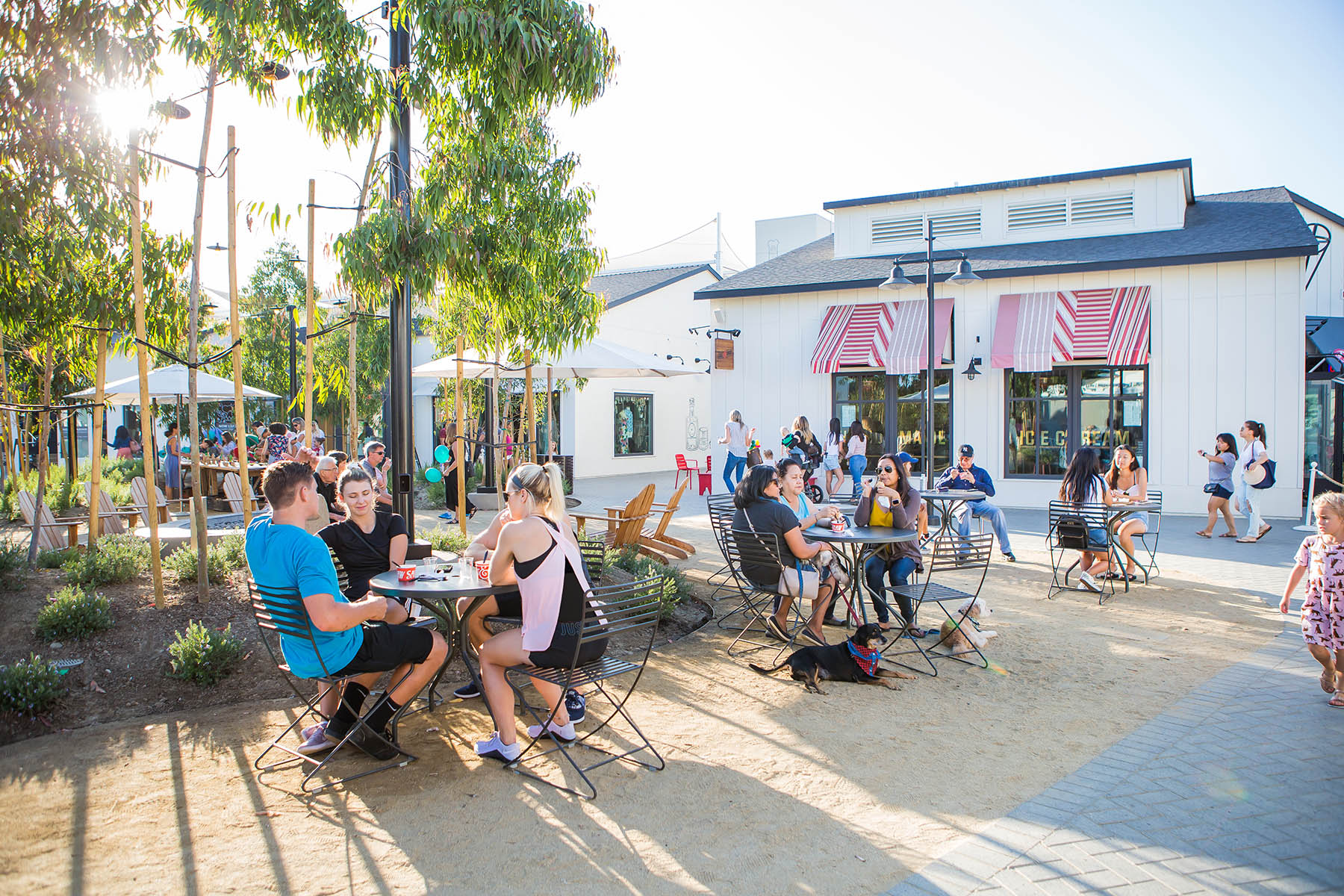 Gallery - One Paseo